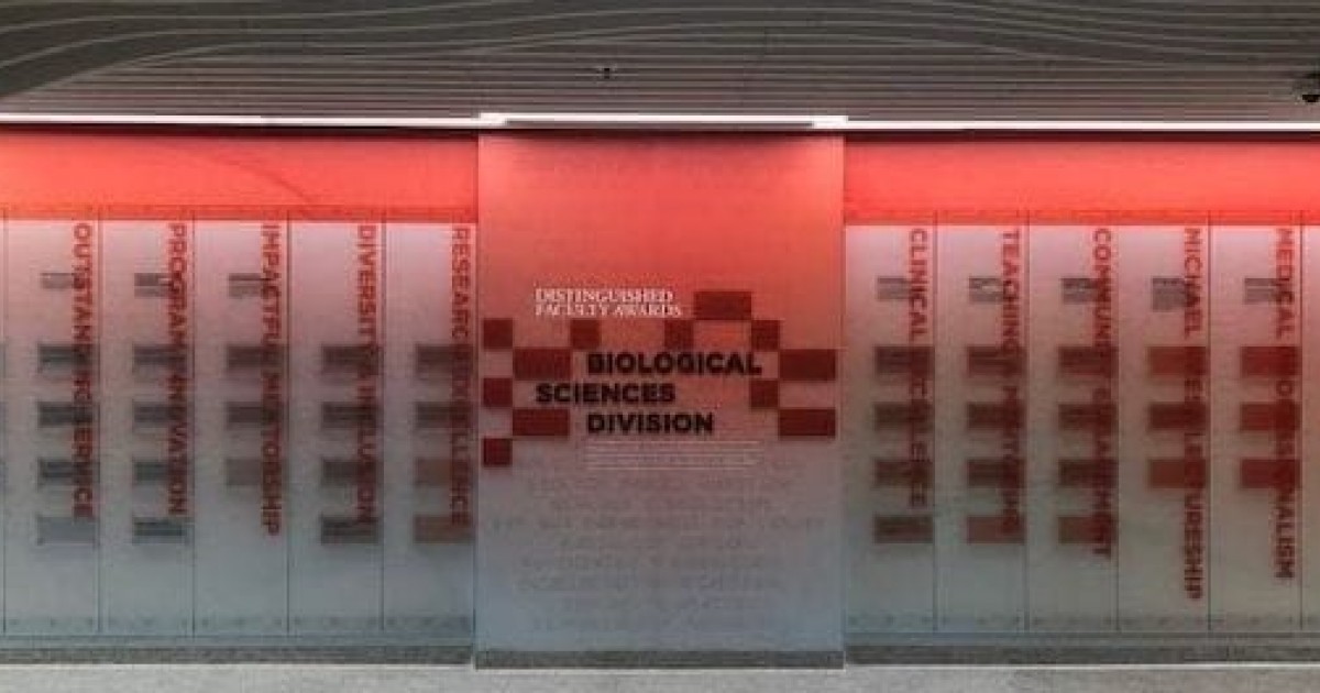 Faculty Receive 2021 BSD Distinguished Faculty Awards | Department of ...